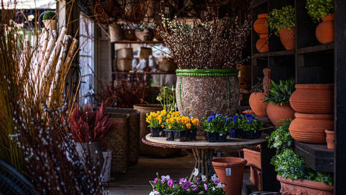 Welcome Dearest April – fleurdetroit