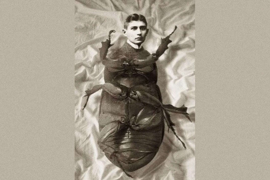 It is Better to be a Young June Bug than an Old Bird of Paradise ...