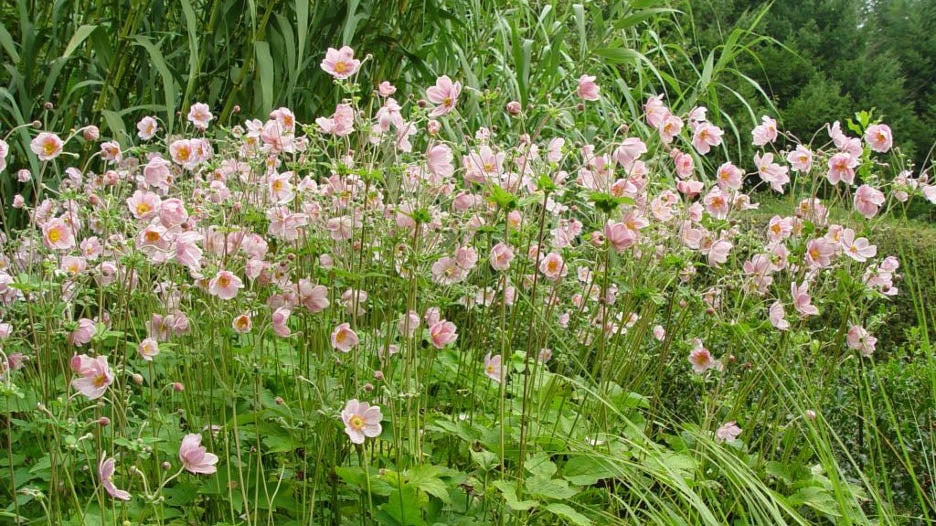 Chasing September into October – fleurdetroit