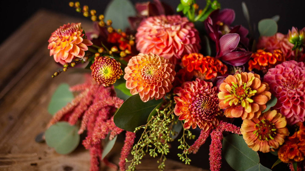 Welcome Dahlia Season – fleurdetroit
