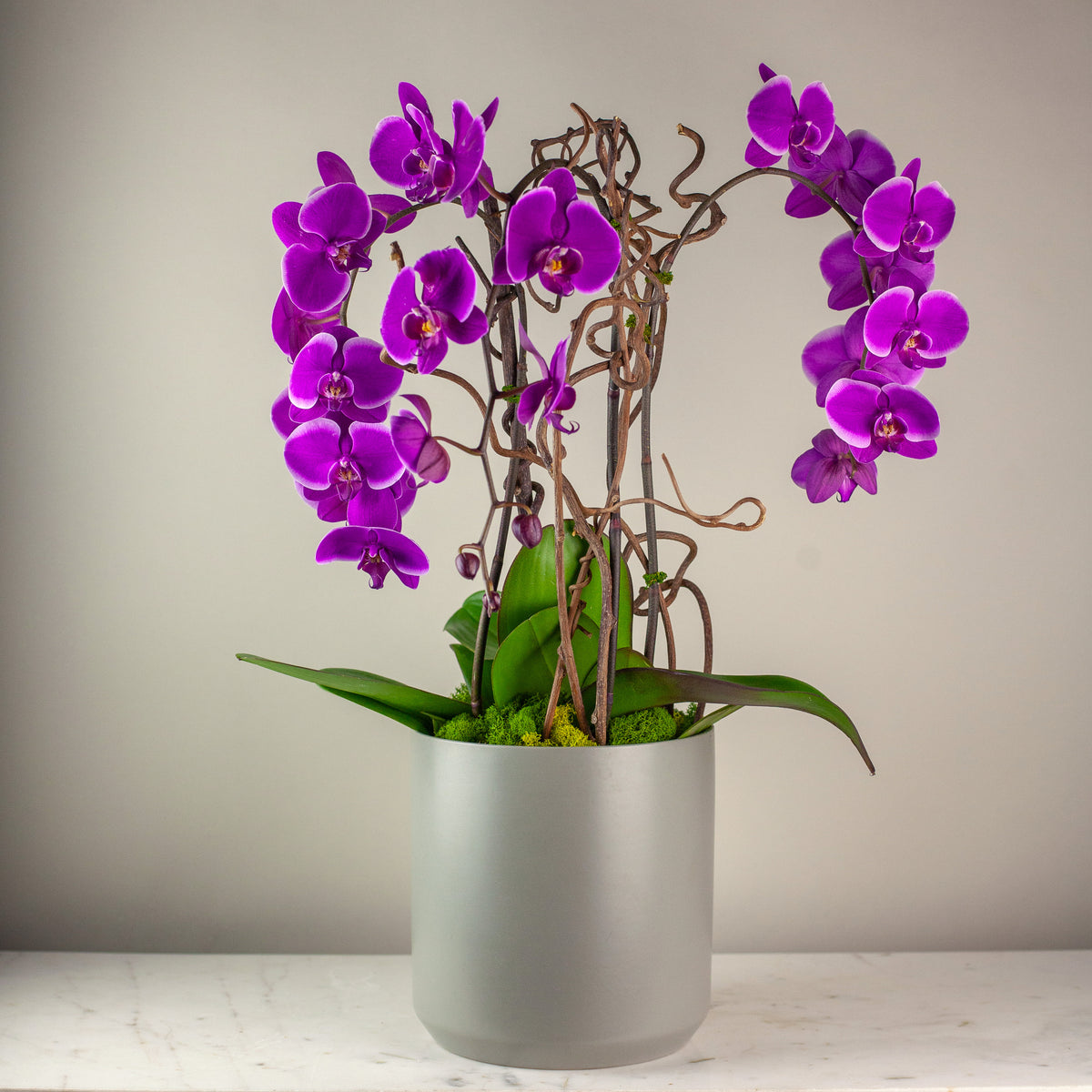Stunning Purple Waterfall Orchids Premium – fleurdetroit